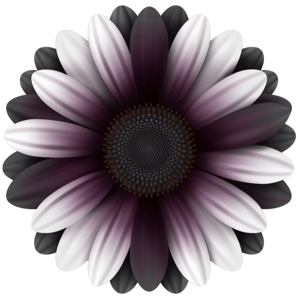 Flower Clip Art - Free Design Palace