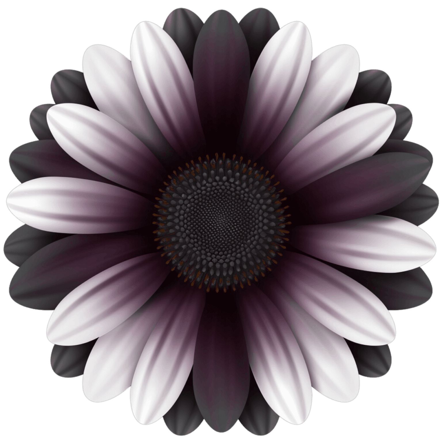 Flower Clip Art - Free Design Palace